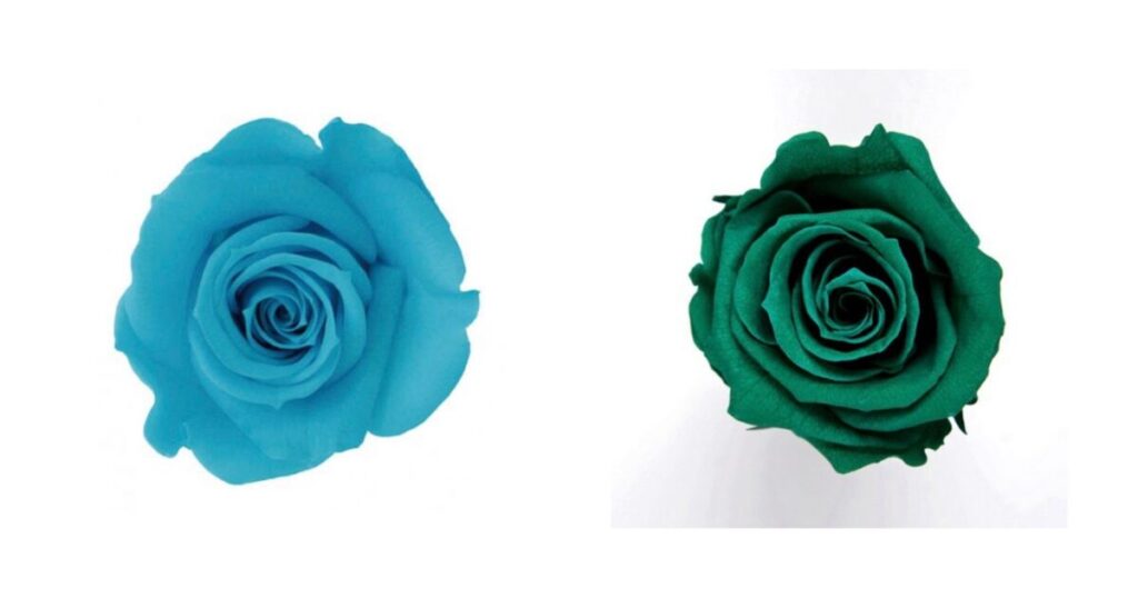 ミラコスタでプロポーズ！花束はどうする？ | カジュアル・ブログ